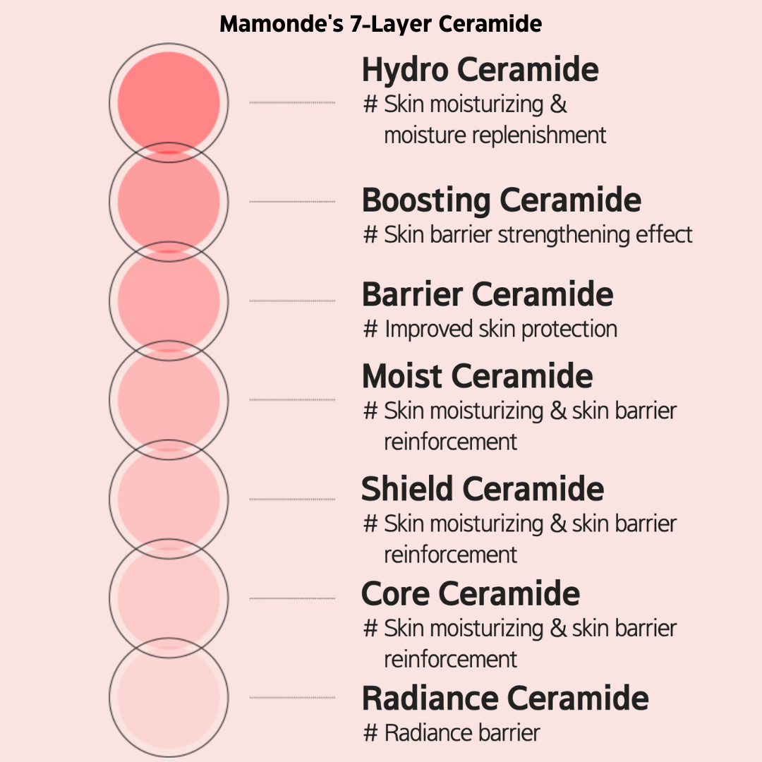 Probiotics Ceramide Cream – Drama Beauty